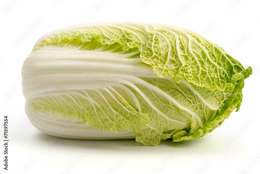 Chinakohl Stock-Foto | Adobe Stock