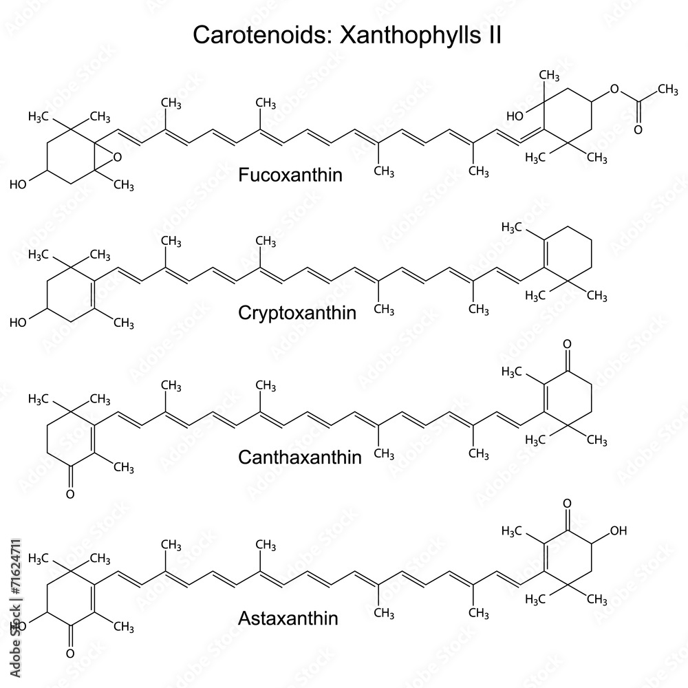 Structural chemical formulas of plant pigments - carotenoids xan Stock ...