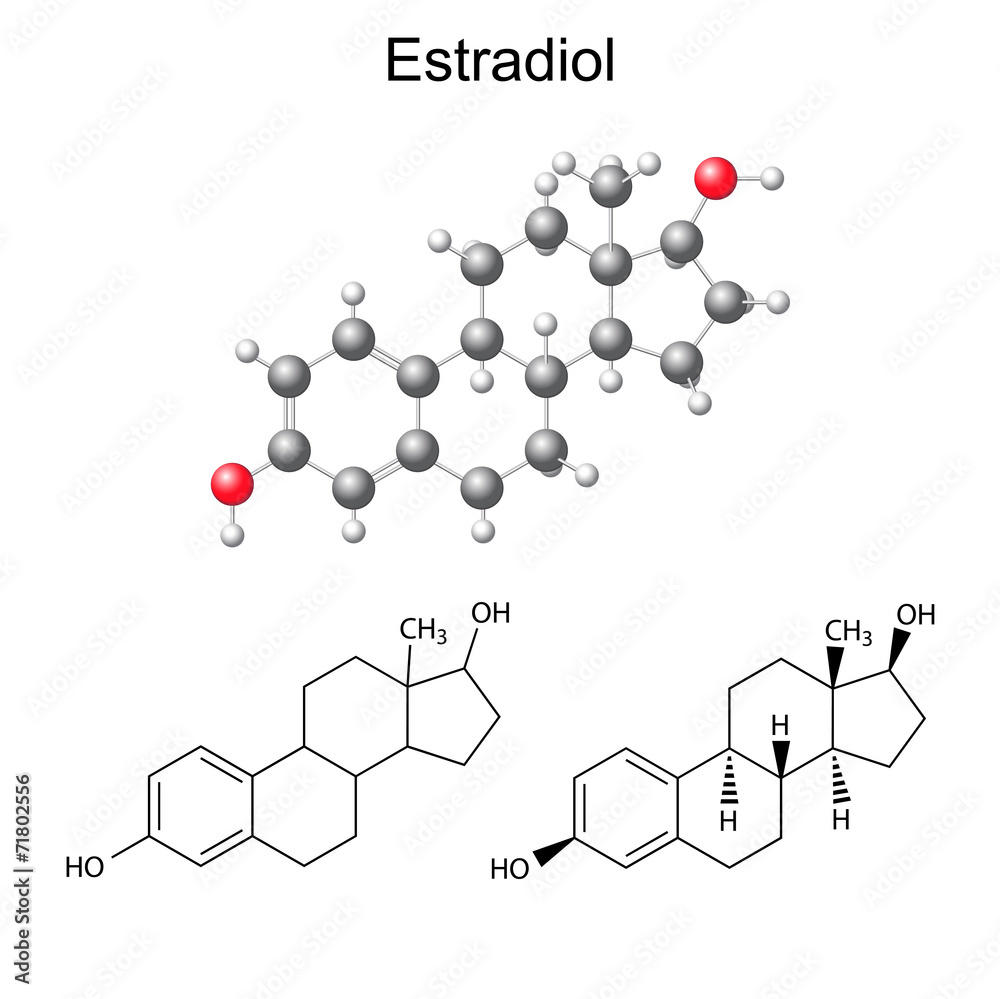 Structural chemical formulas and model of estradiol molecule vector de ...