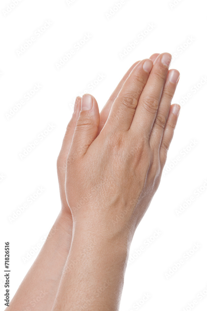 praying hands isolated on white background Stock Photo | Adobe Stock