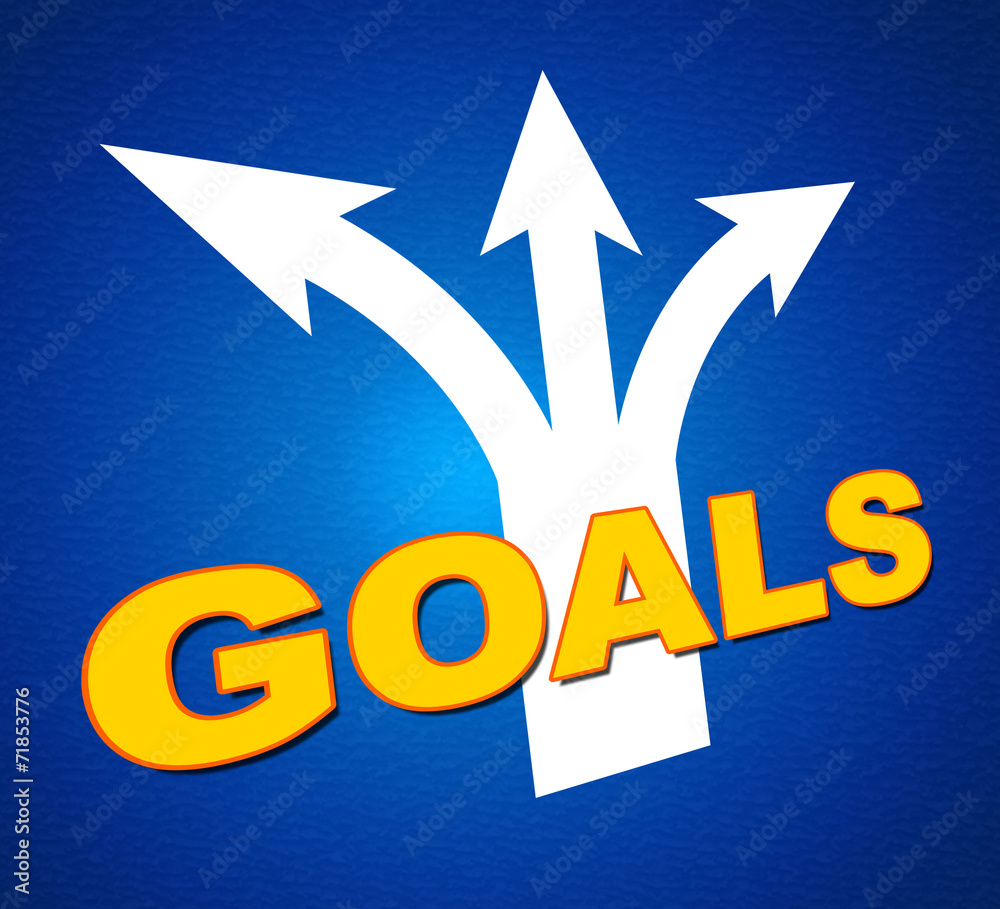Goals Arrows Shows Targeting Direction And Aspirations Stock ...