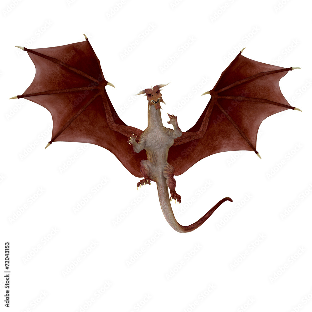 Dragon Front View Roar