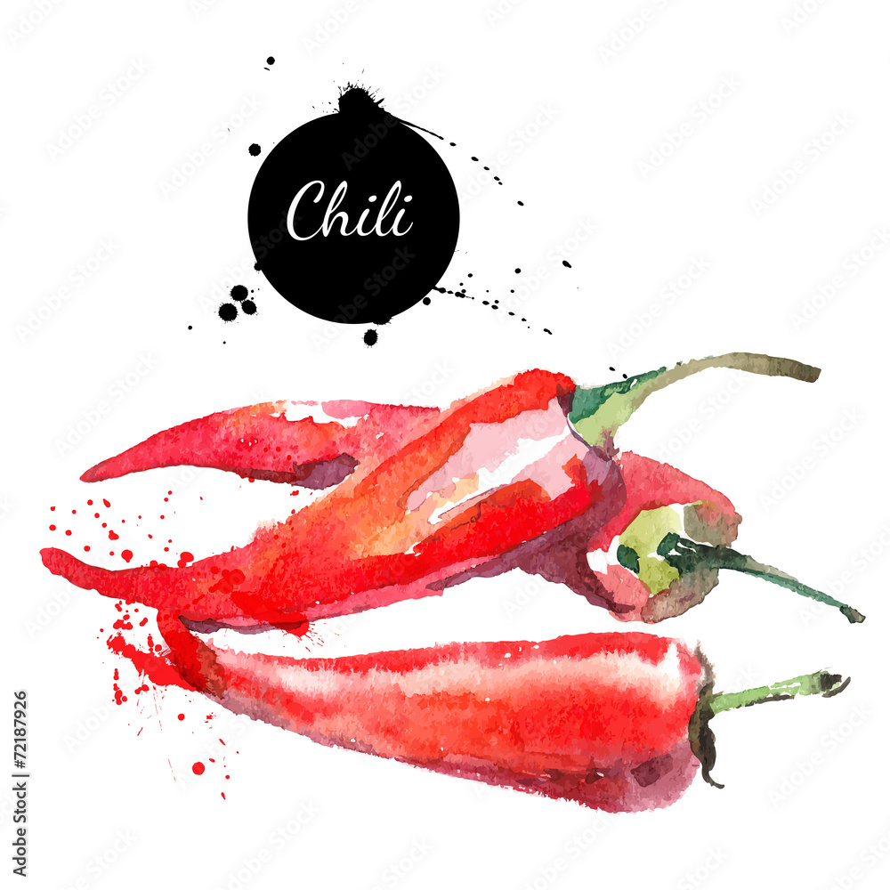Chilli. Hand drawn watercolor painting on white background. Stock ...