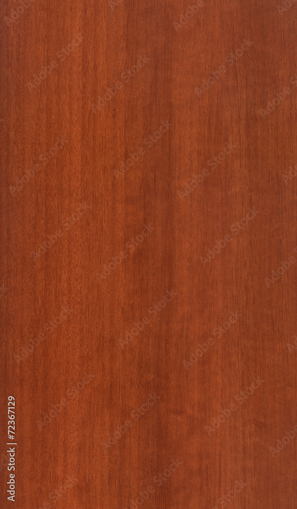 Walnut Wood Texture Stock Photo | Adobe Stock