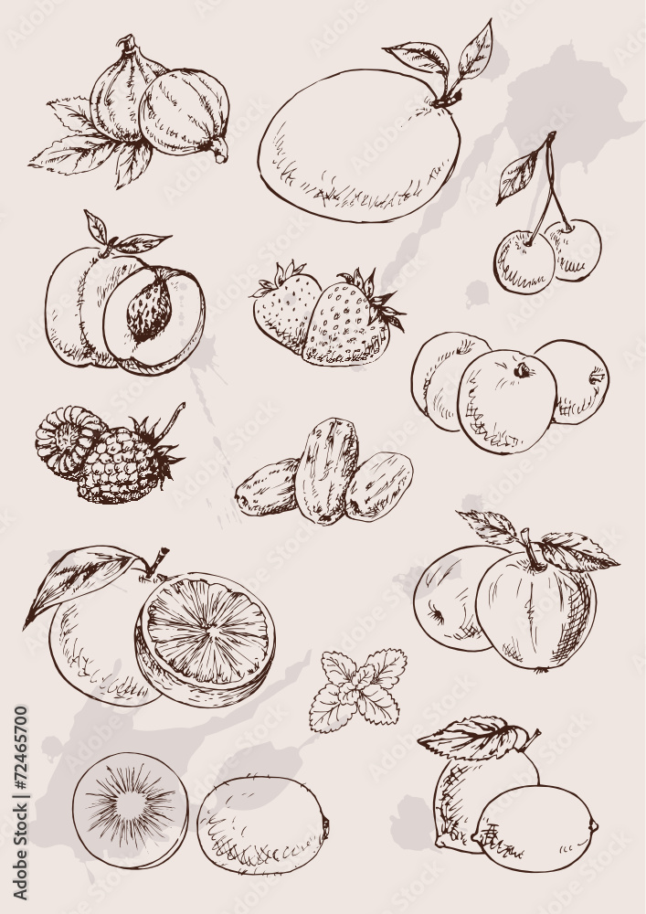 collection of hand drawing isolated fruits Stock Vector | Adobe Stock