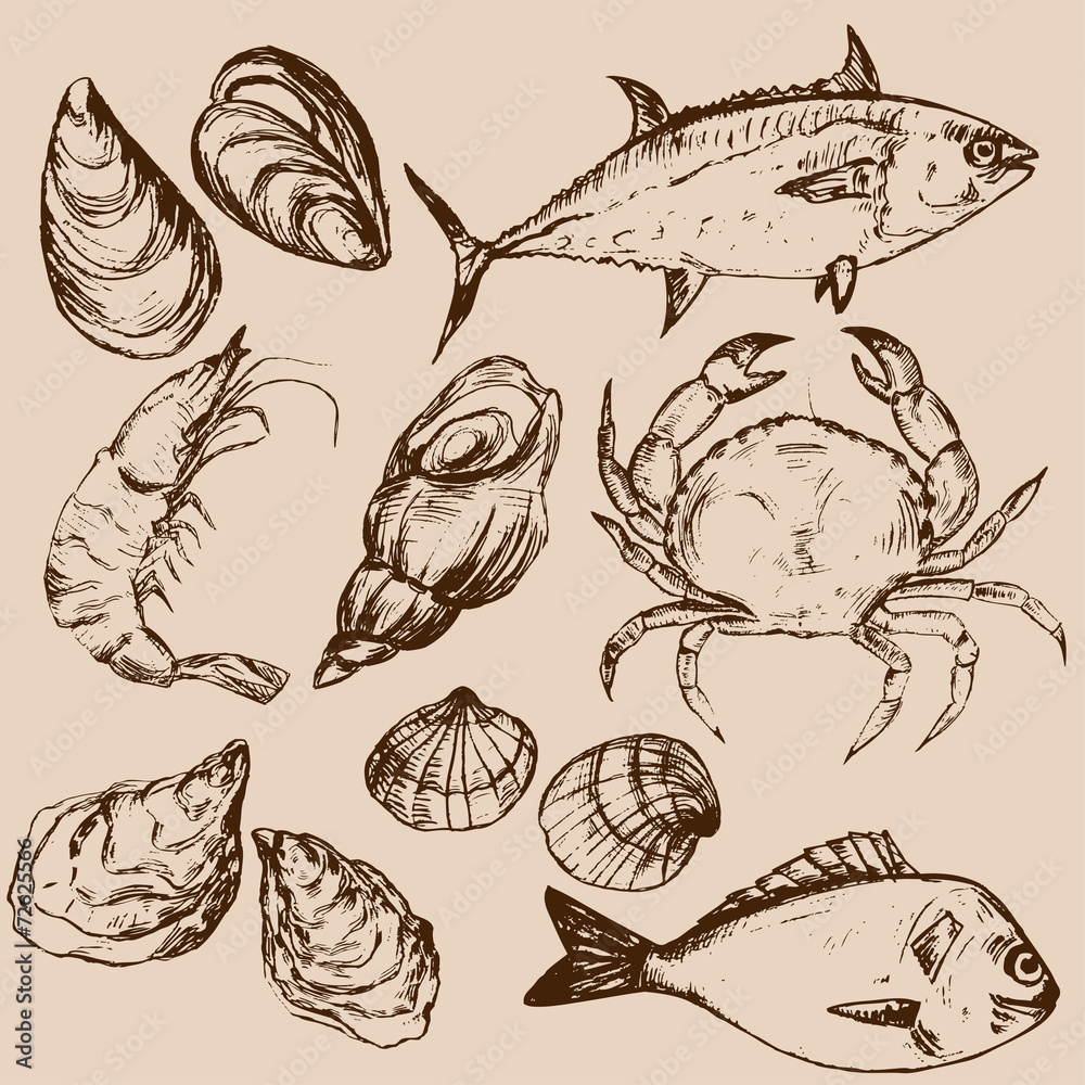 Hand drawn seafood, vector illustration Stock Vector | Adobe Stock