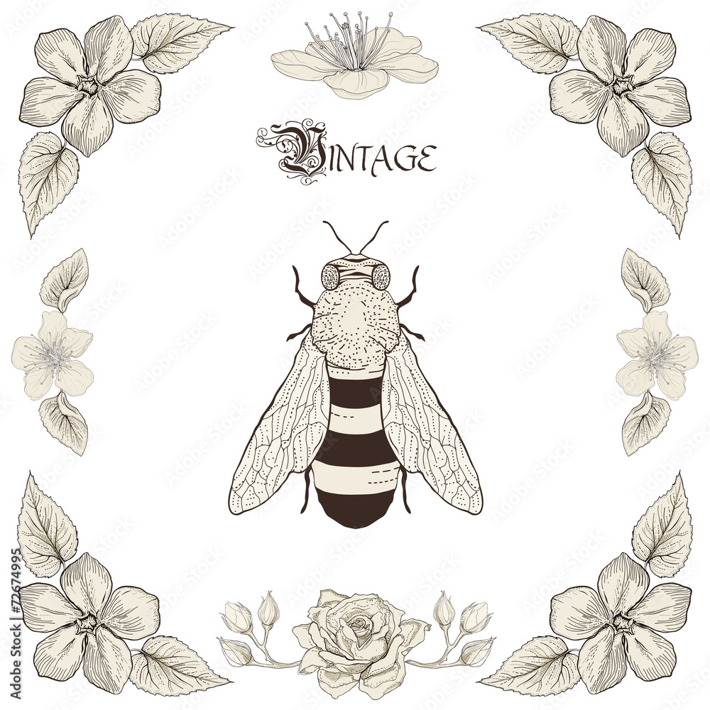 bee drawing vintage engraving style Stock Vector | Adobe Stock