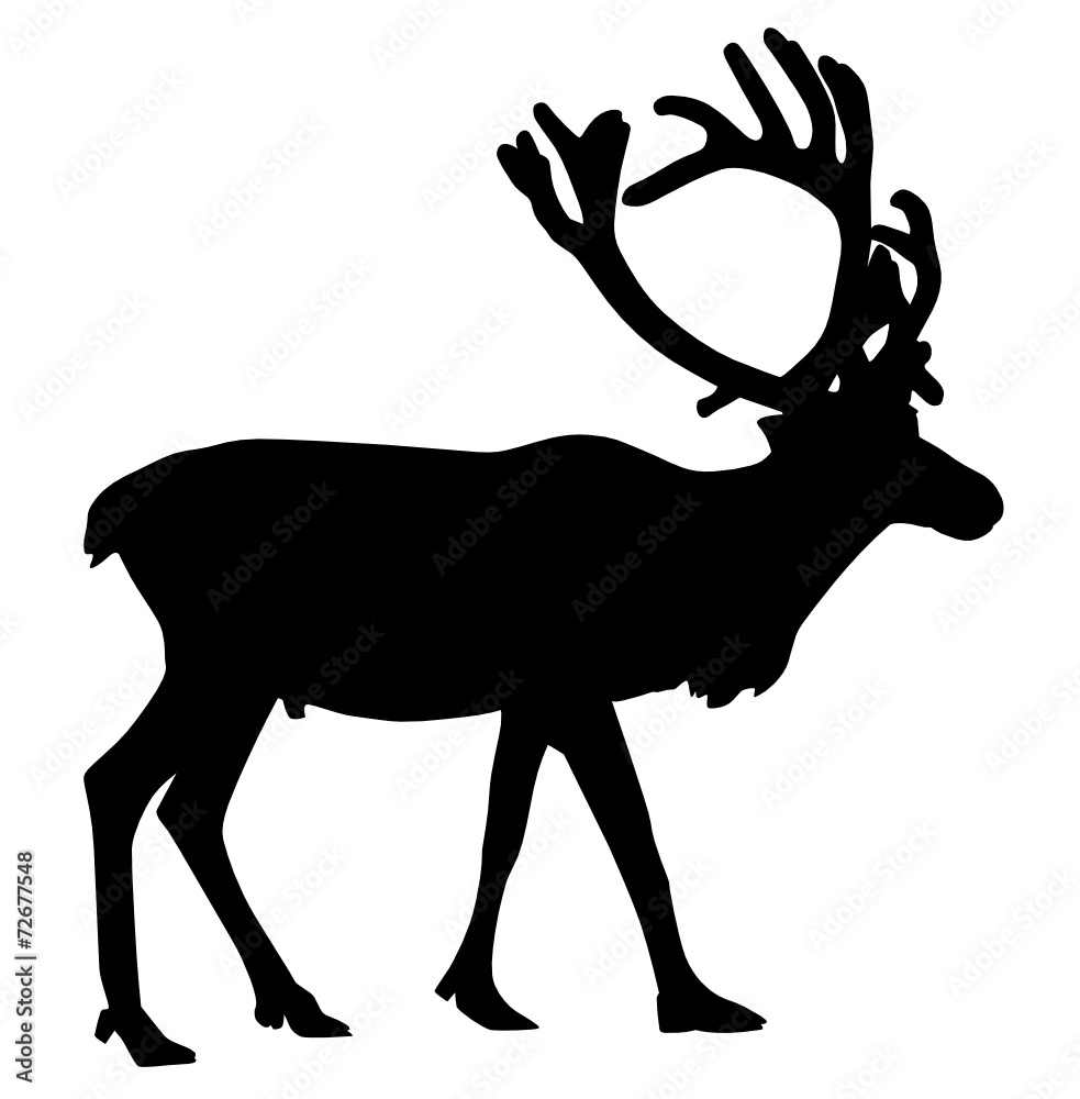 Hirsch Stock Vector | Adobe Stock