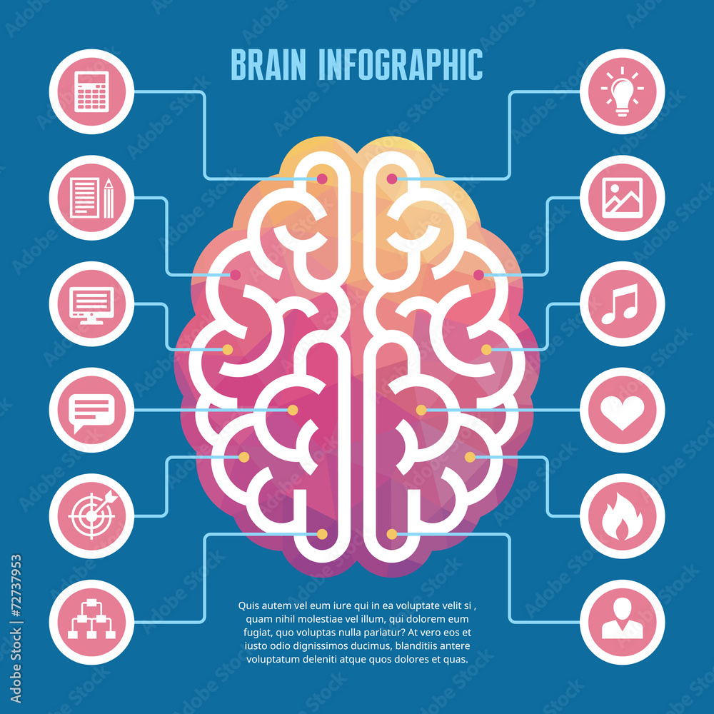 Brain infographic - vector concept illustration with icons Stock Vector ...