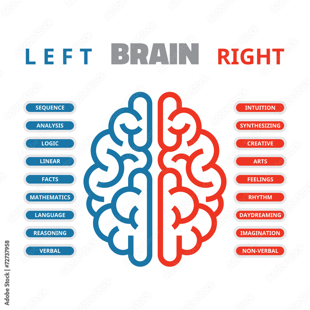 Left and right human brain vector illustration for infographic Stock ...