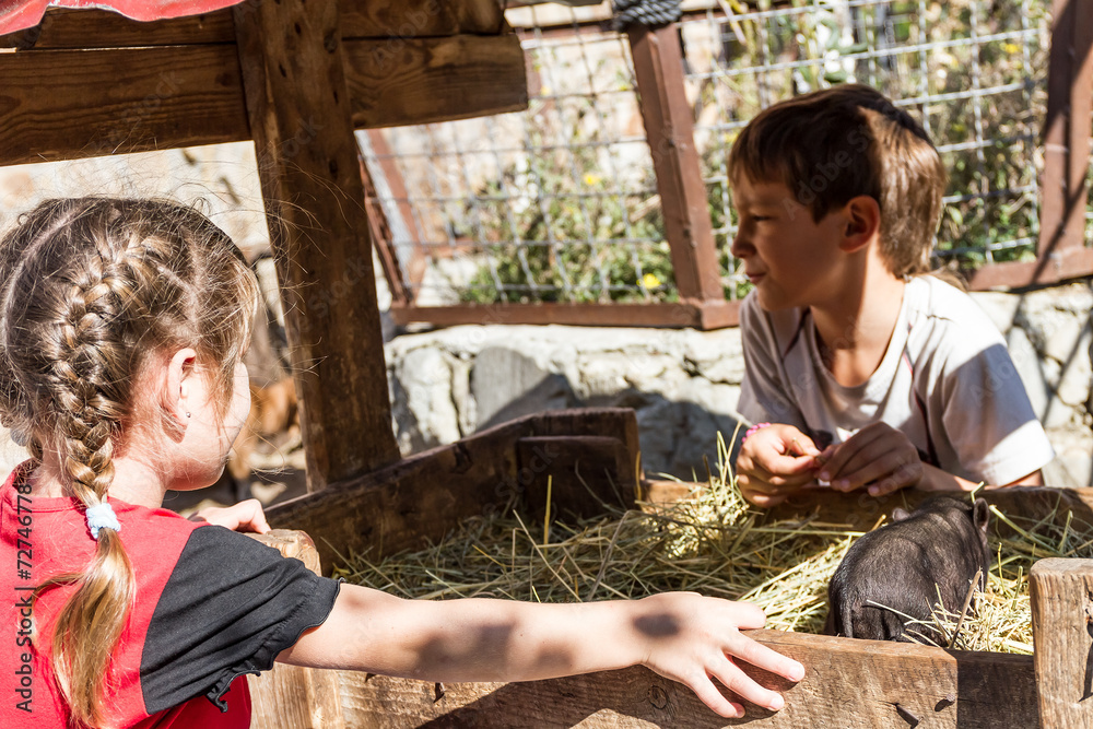 two kids - boy and girl - taking care of domestic animals on far Photos ...