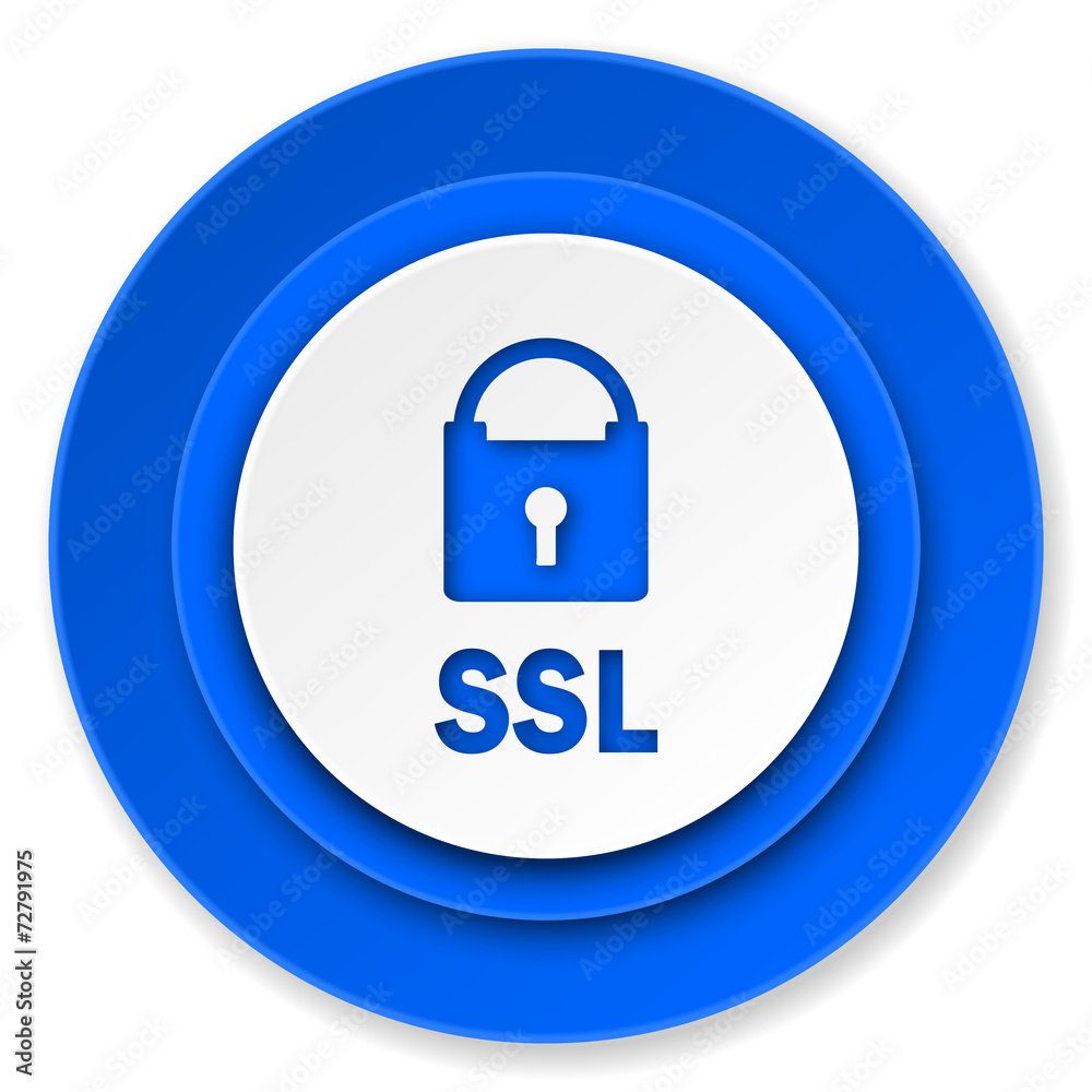 ssl icon Stock Illustration | Adobe Stock