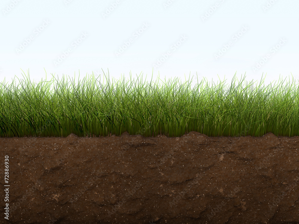 Grass and soil Stock Illustration | Adobe Stock