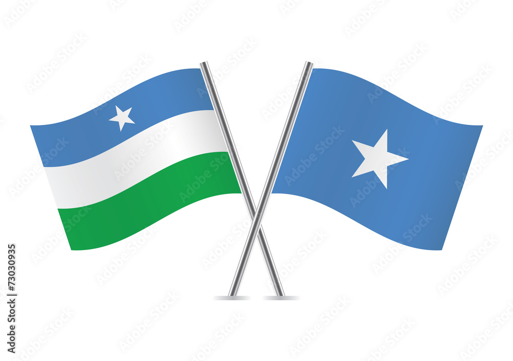 Puntland and Somalia flags. Vector illustration. Stock Vector | Adobe Stock