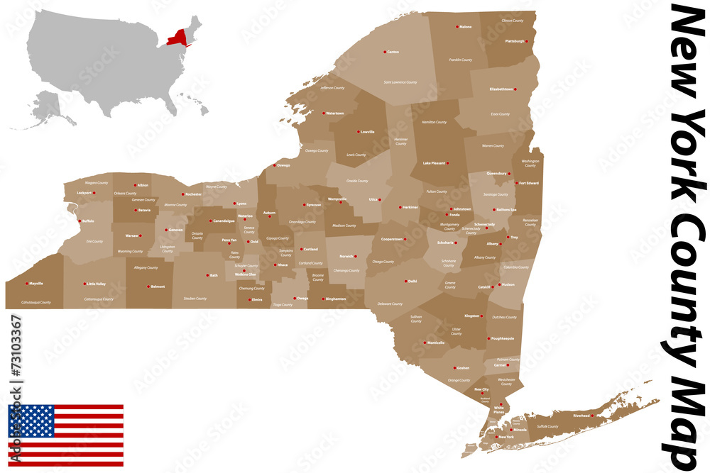 New York County Map Stock Vector | Adobe Stock
