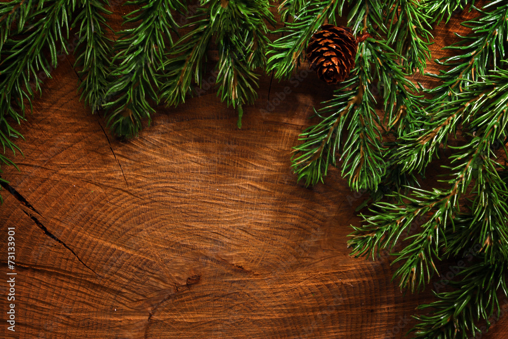 Evergreen tree background Stock Photo | Adobe Stock