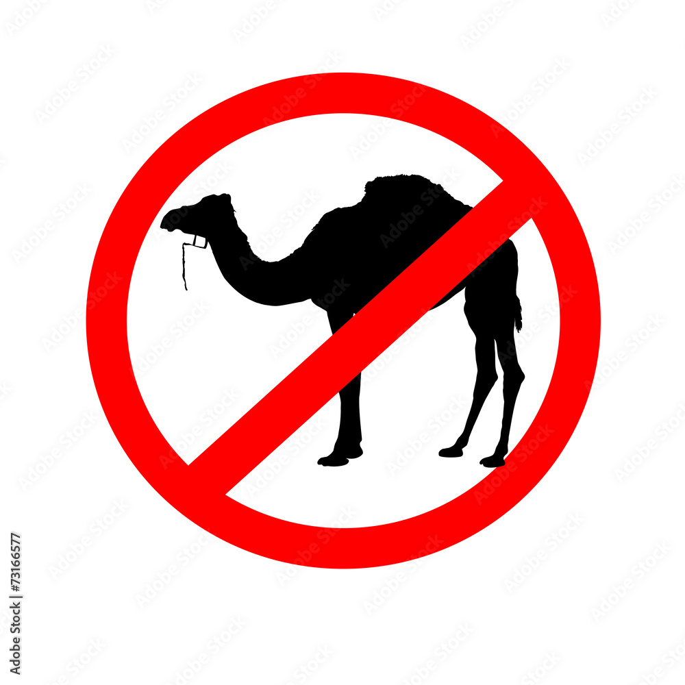 No Camels Allowed Signs Stock Vector | Adobe Stock