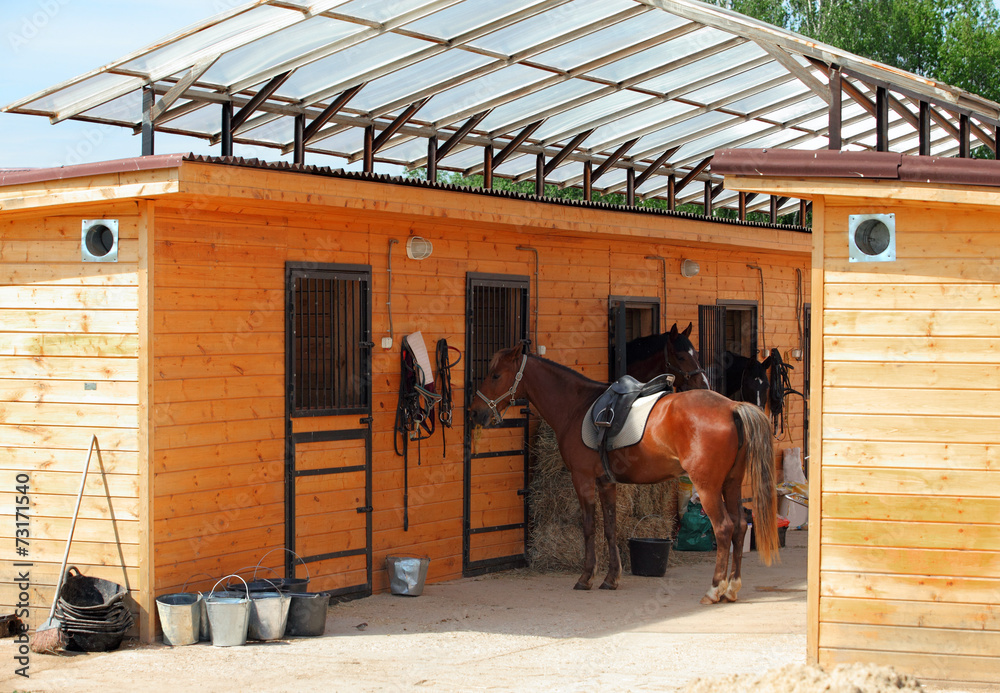 Horses at the stable of Riding Center Stock Photo | Adobe Stock