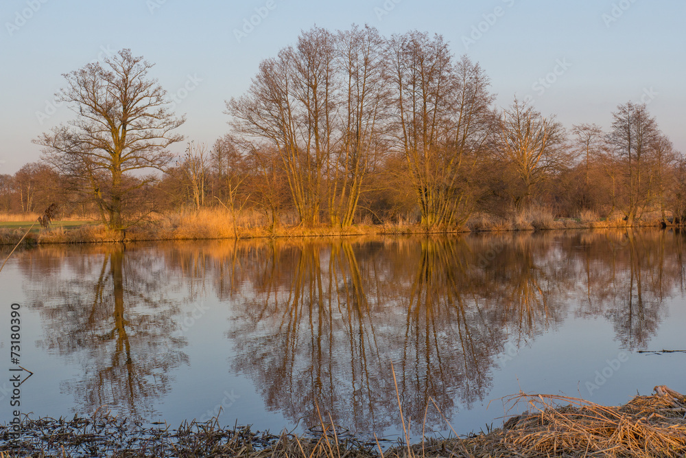 lake in spring Stock Photo | Adobe Stock