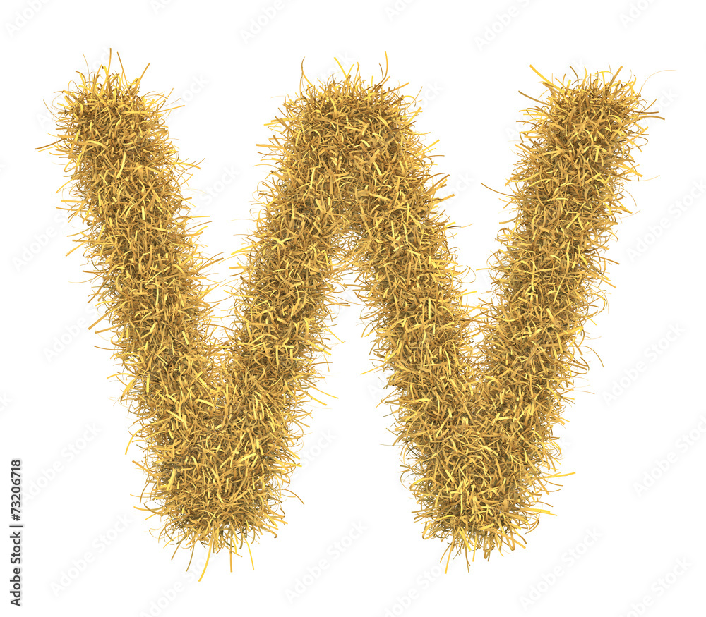 Letter of hay isolated on white background Stock Illustration | Adobe Stock