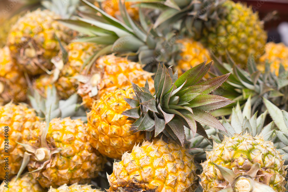 ananas Victoria, île de la Réunion Photos | Adobe Stock