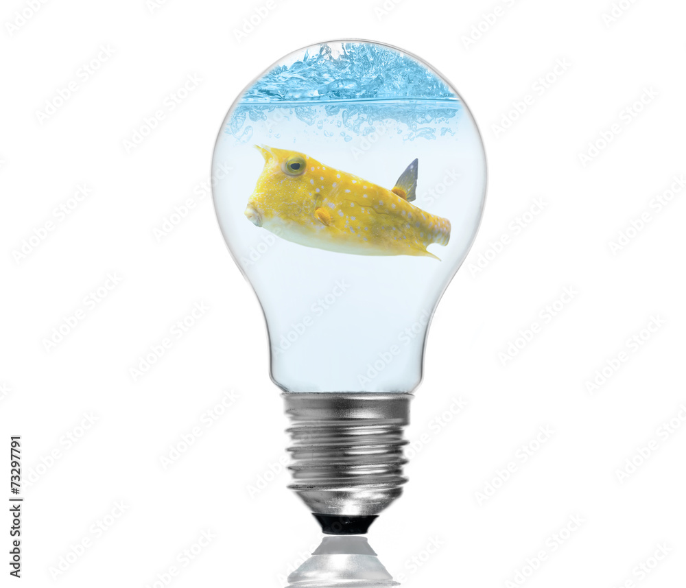 Fish in lightbulb Stock Photo | Adobe Stock