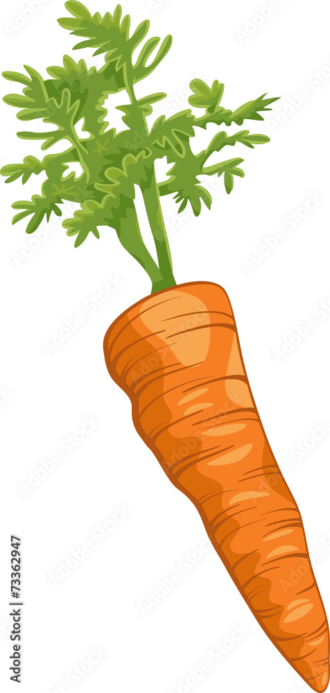 carrot root vegetable cartoon illustration Stock Vector | Adobe Stock