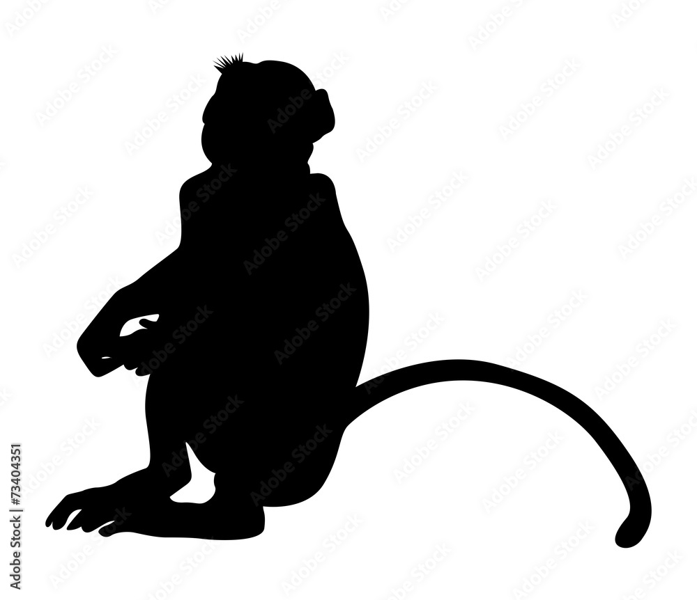 Sitting Monkey Shape Stock Vector | Adobe Stock
