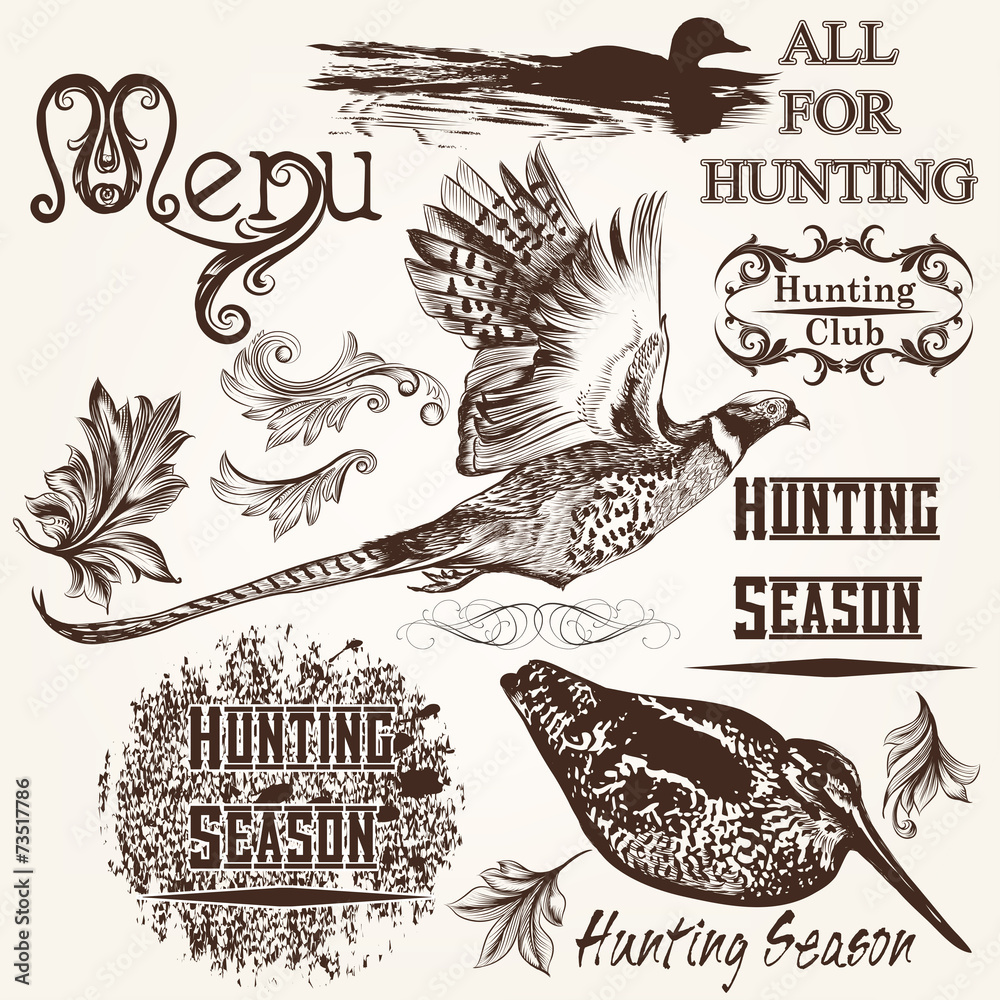Collection of vector hand drawn animals hunting season design Stock ...