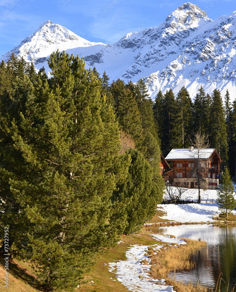 chalets...alpes Stock Photo | Adobe Stock