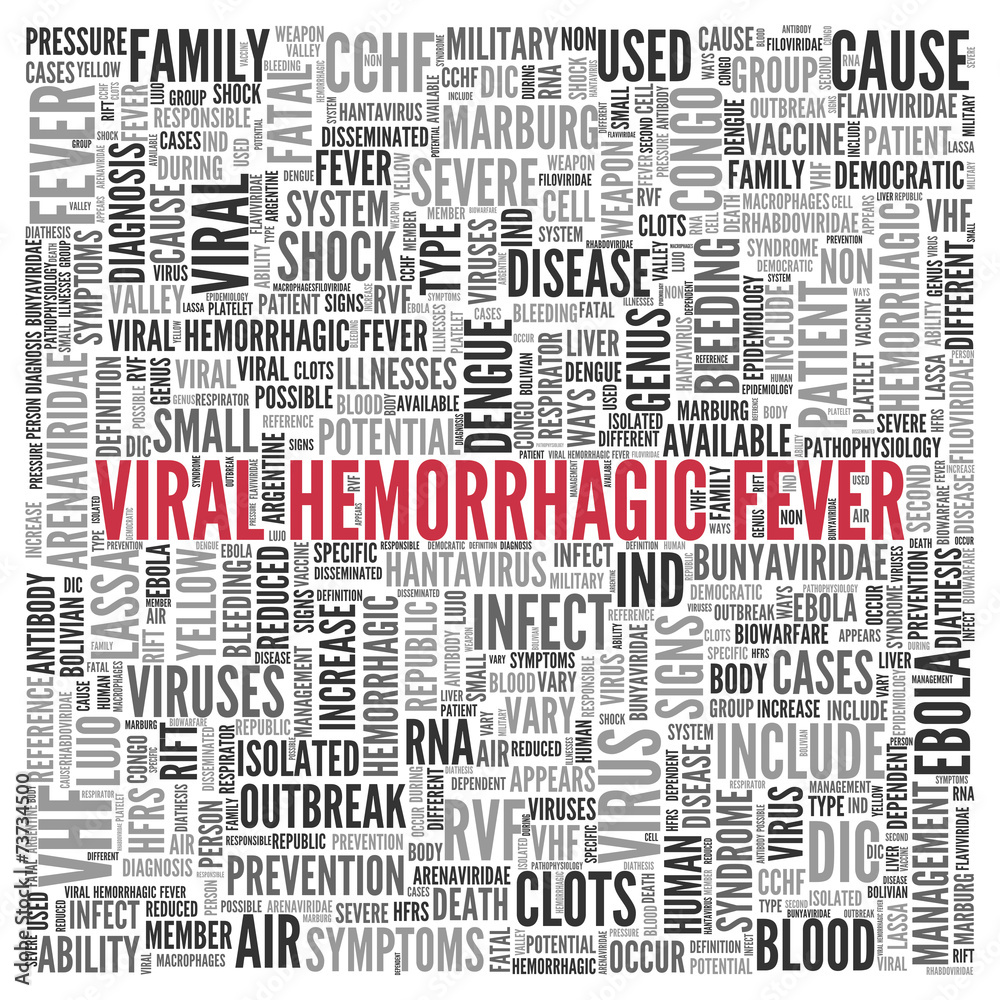Poster Viral Hemorrhagic Fever Concept in Word Tag Cloud – Wall Art ...