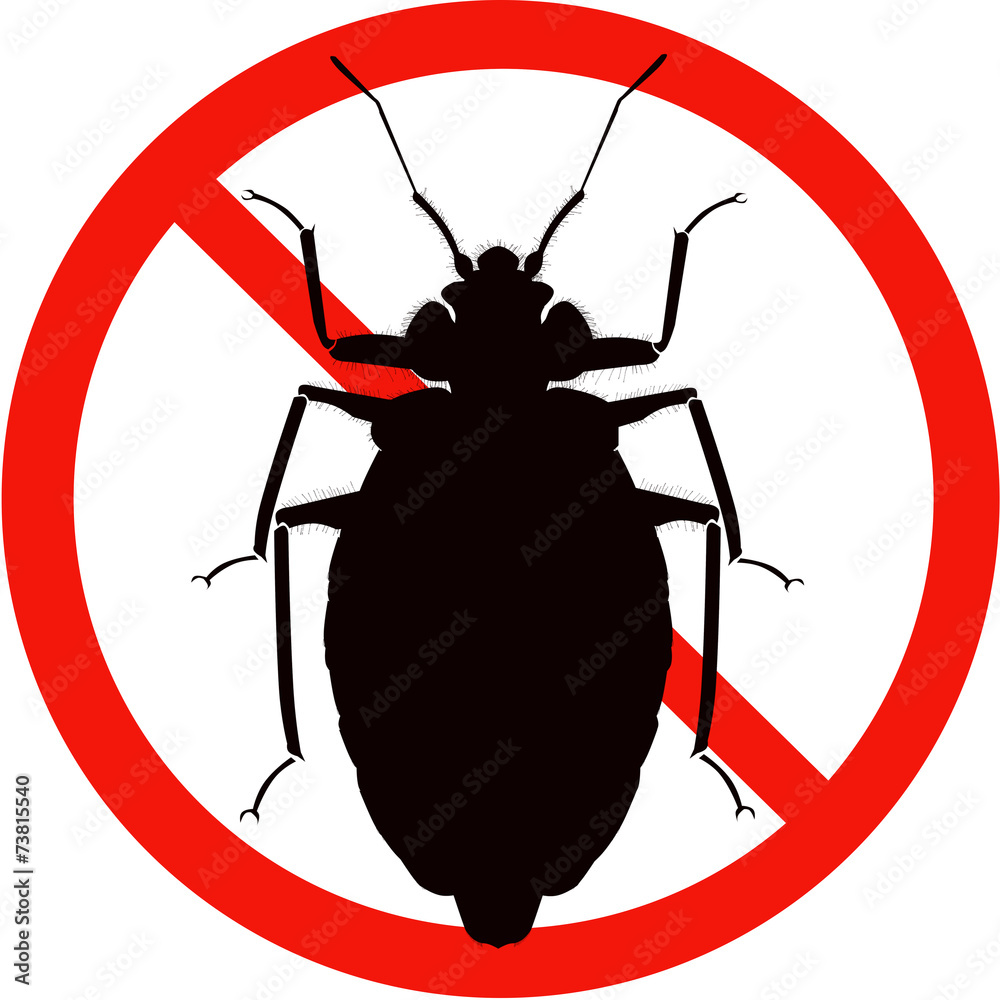 dangerous insect road signs Stock Vector | Adobe Stock