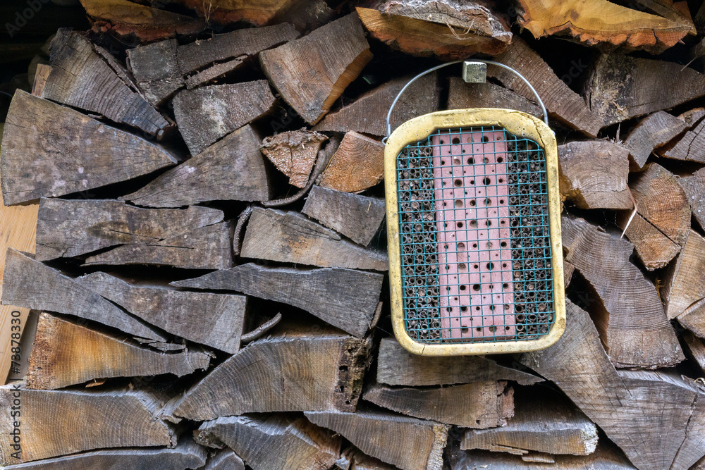 trap for termites on a pile of wood Stock Photo | Adobe Stock
