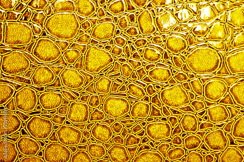 Leather with crocodile skin pattern background Stock Photo | Adobe Stock