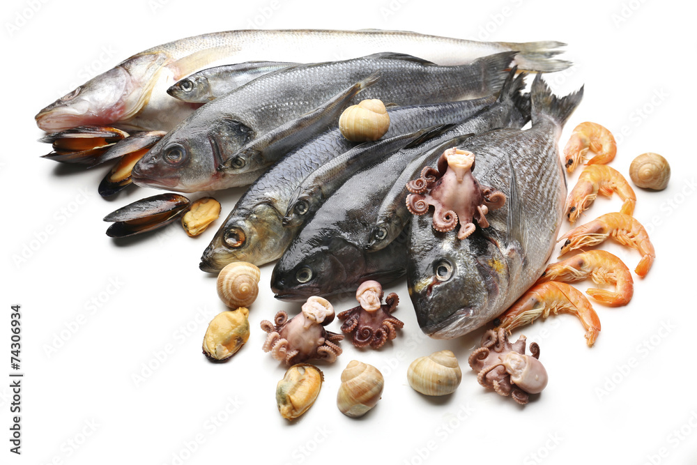 Fresh catch of fish and other seafood isolated on white Stock Photo ...