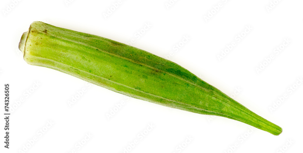 Single piece of okra ladyfinder bhindi ภาพถ่ายสต็อก | Adobe Stock