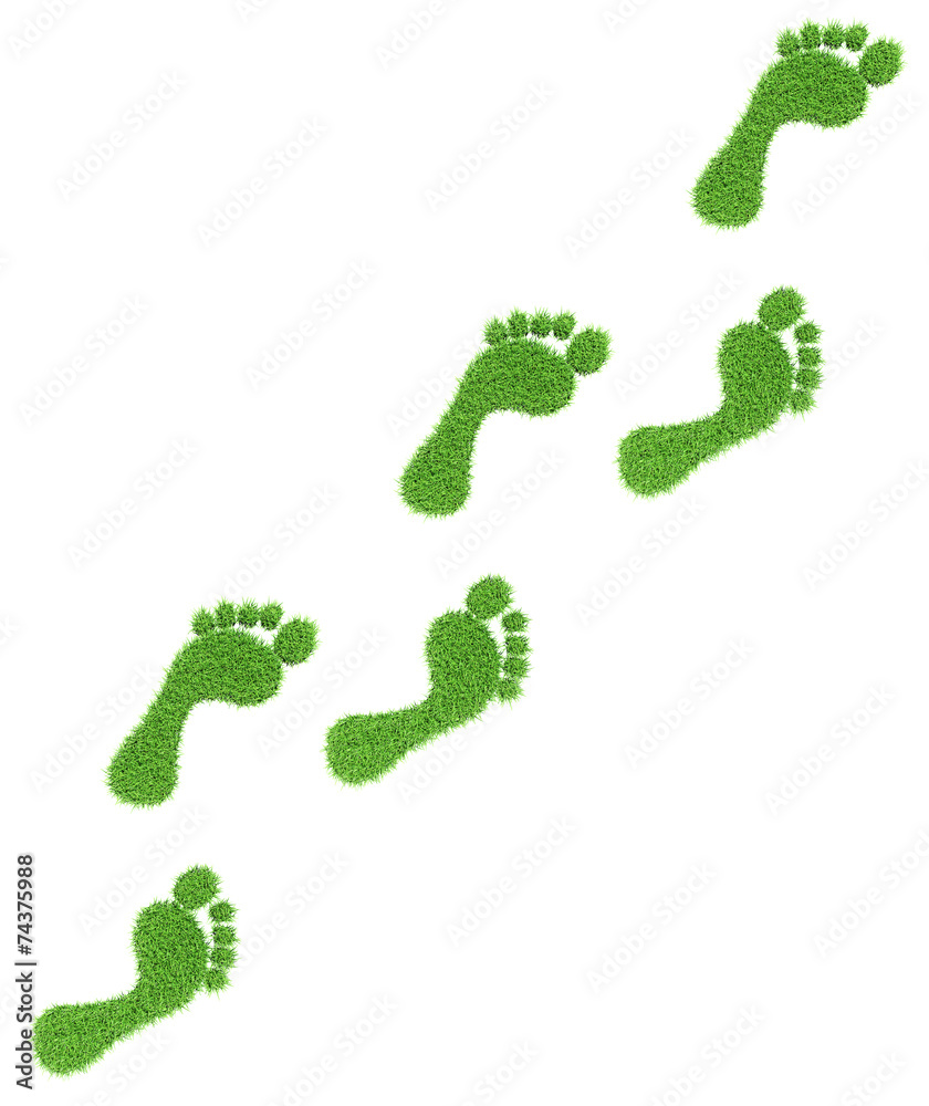 Grass footprints Stock Illustration | Adobe Stock