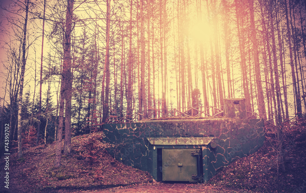 Scary bunker hidden in a forest with surreal colors, Podborsko, Poland ...