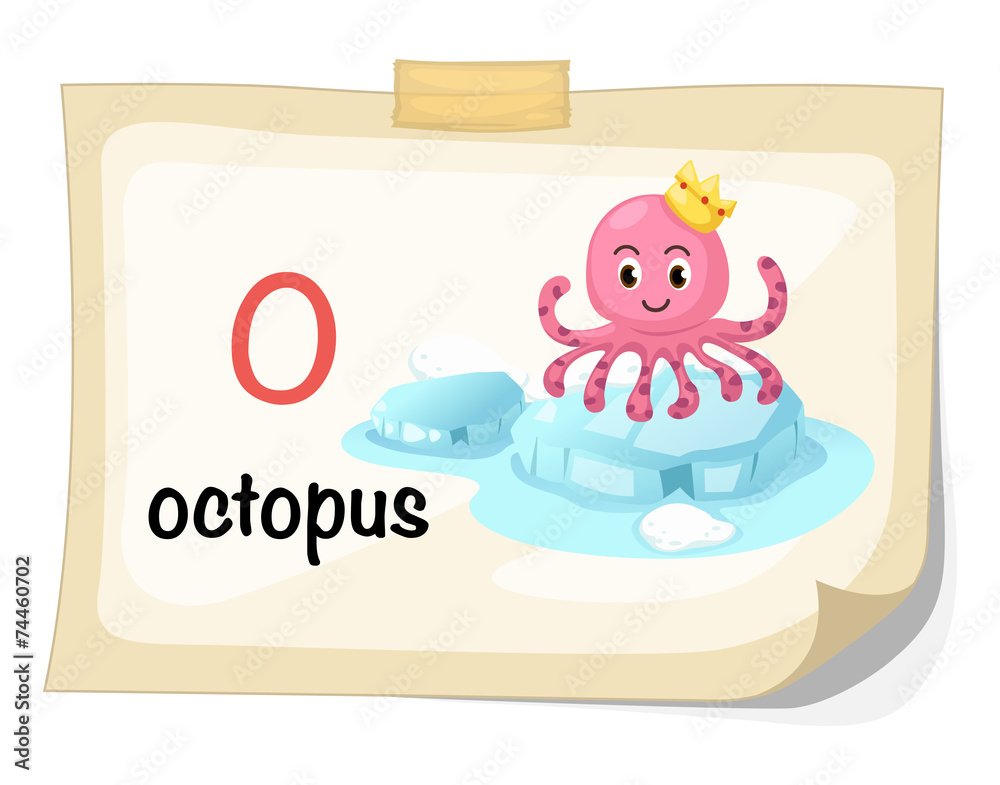 animal alphabet letter O for octopus illustration vector Stock Vector ...