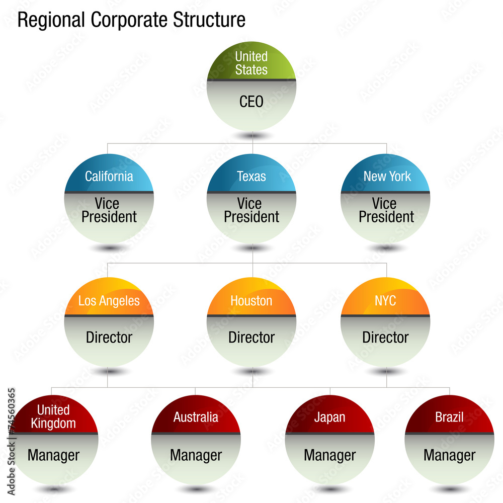 Regional Org Chart Stock Vector | Adobe Stock