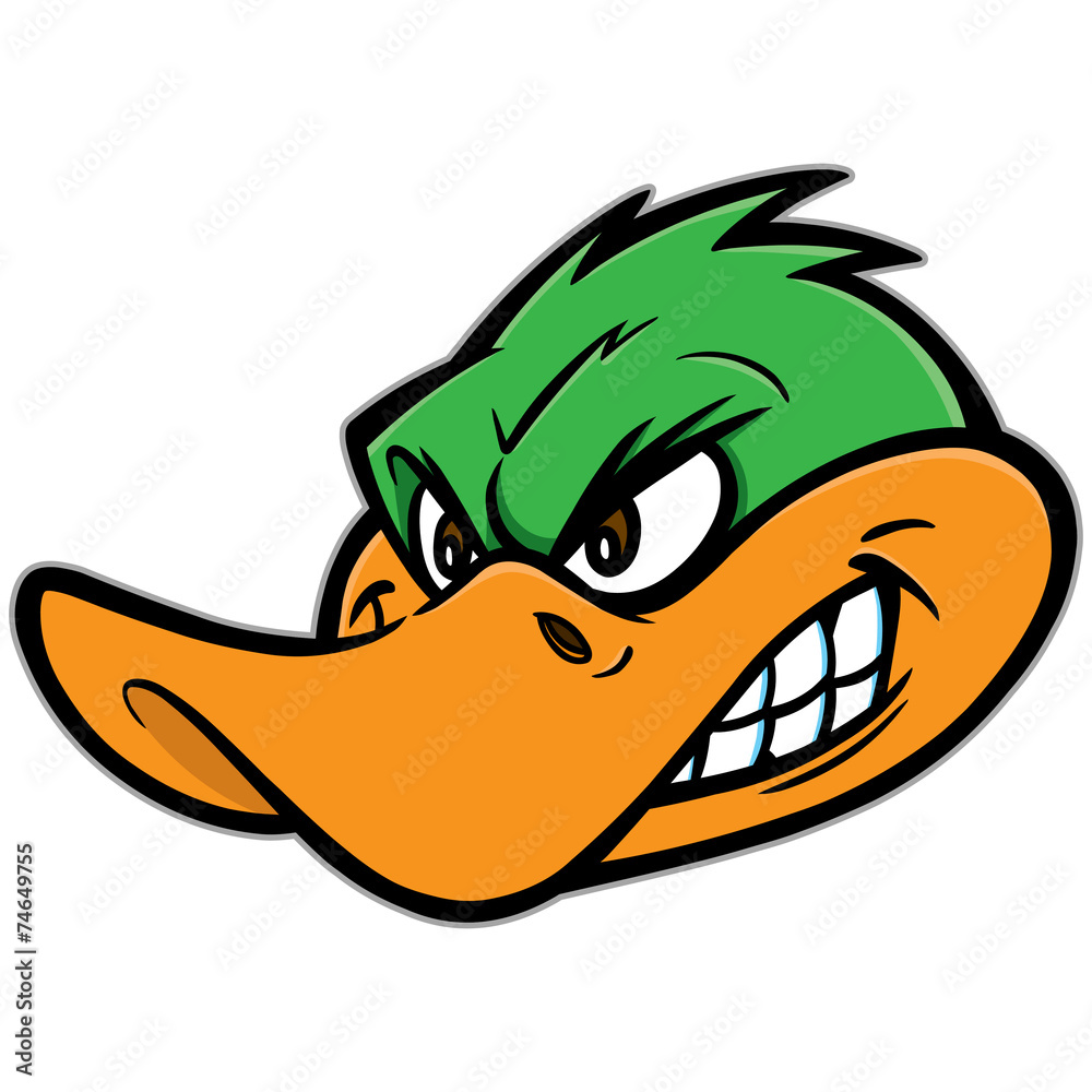 Angry Duck Stock Vector | Adobe Stock