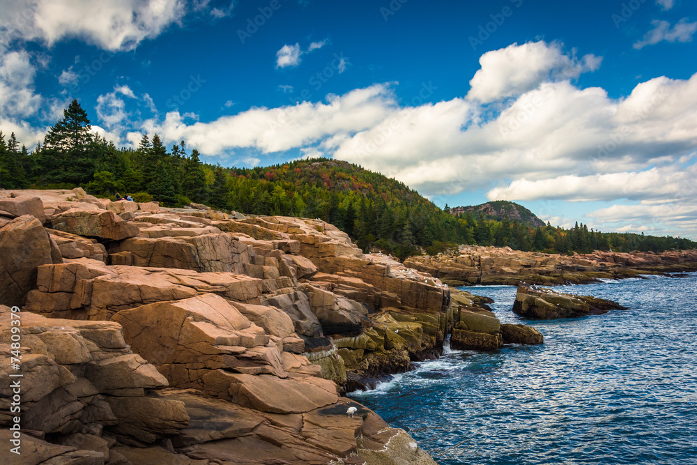 Otter Cliffs and the Atlantic Ocean in Acadia National Park, Mai Stock ...
