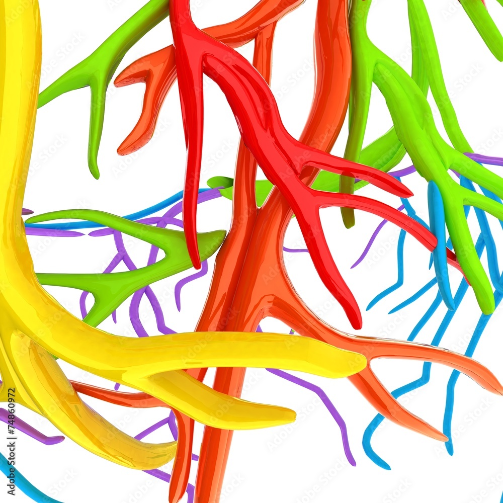 Fantasy veins. Medical illustration Stock Illustration | Adobe Stock