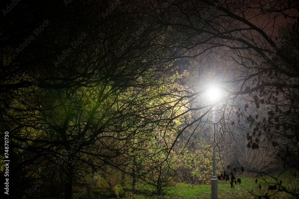 Creepy park at night with illumination Stock Photo | Adobe Stock