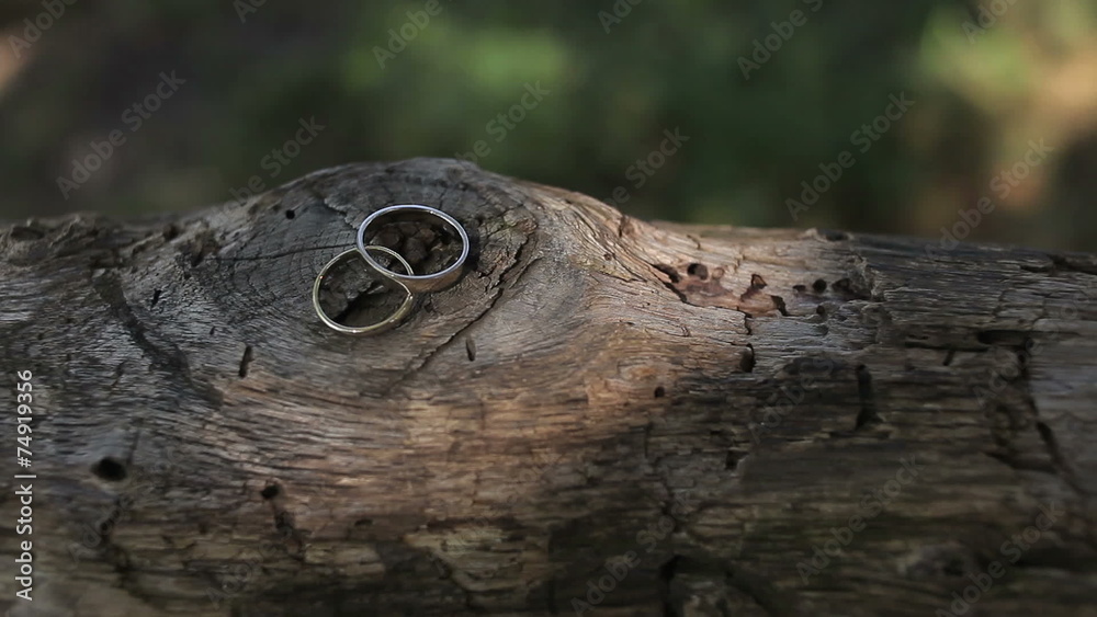 Wedding rings on a tree log Stock Video | Adobe Stock