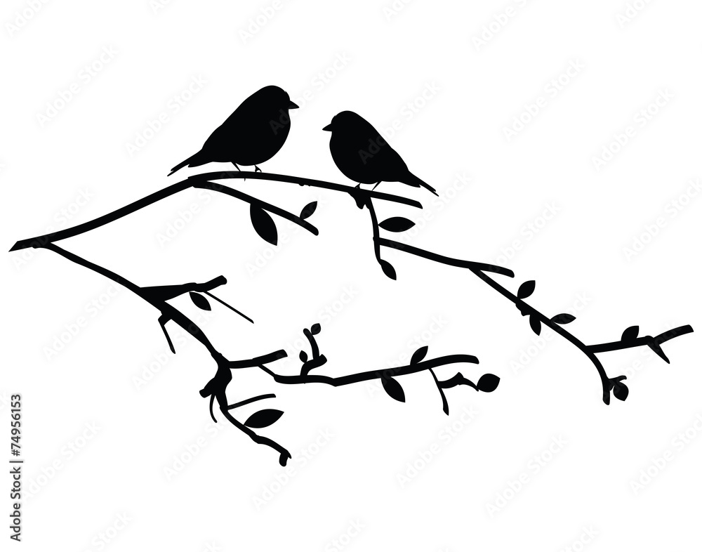 Vector silhouette birds on a tree branch Stock Vector | Adobe Stock