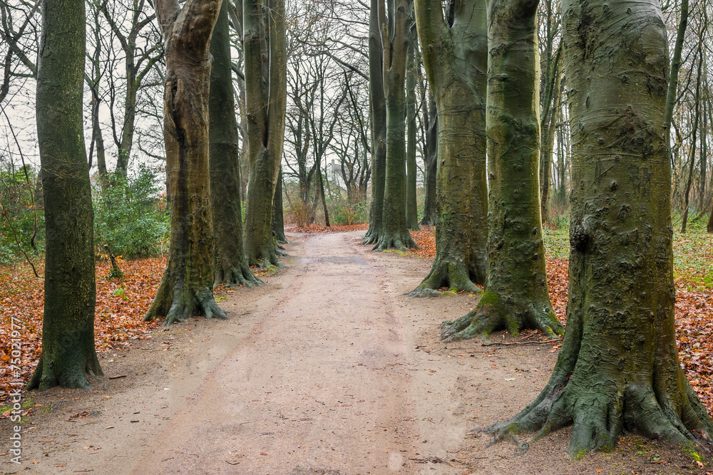 Der Weg Stock-Foto | Adobe Stock