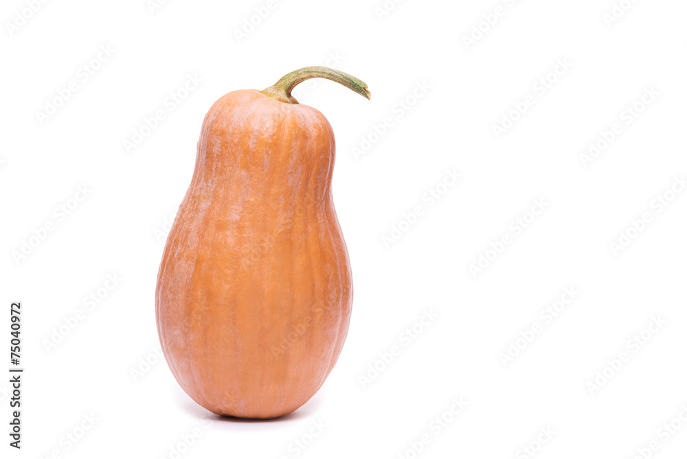 pumpkin squash isolated on a white background Stock Photo | Adobe Stock