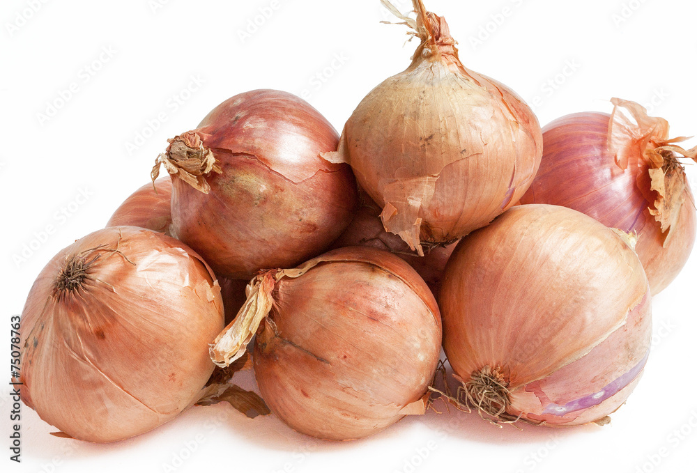 Oignons rosés de Roscoff - Allium cepa - sur fond blanc Stock Photo ...