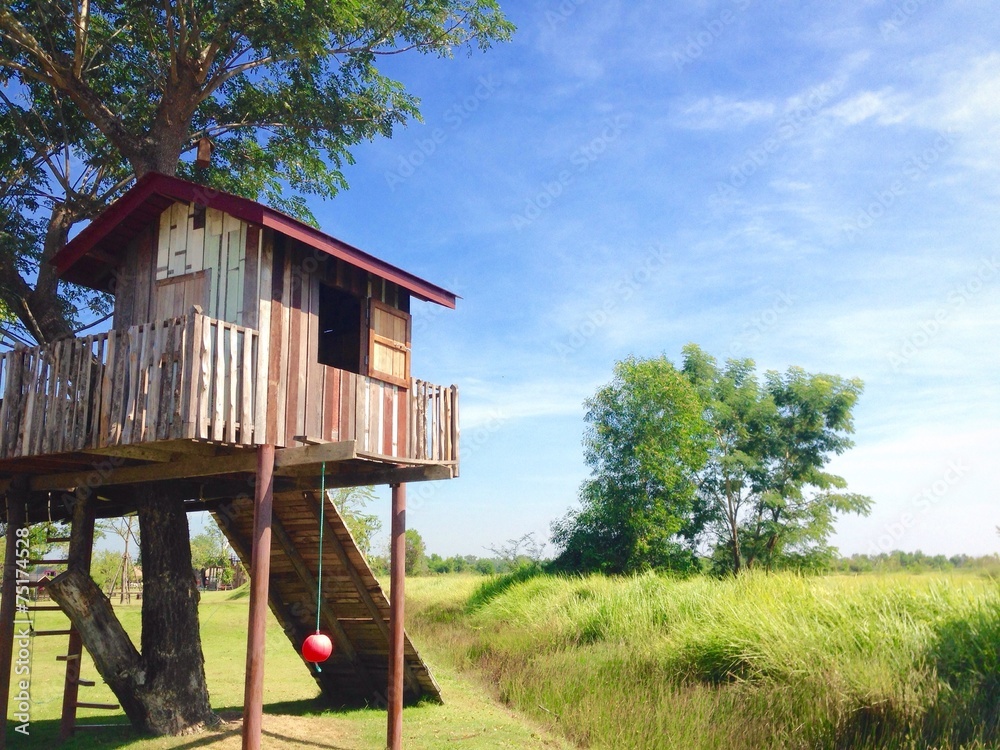 Poster wooden treehouse in lovely rice field – Wall Art | UkPosters